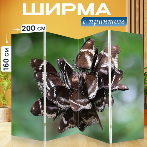 Ширма перегородка с принтом "Бабочки, насекомые, природа" на холсте - 200x160 см. для зонирования, раскладная
