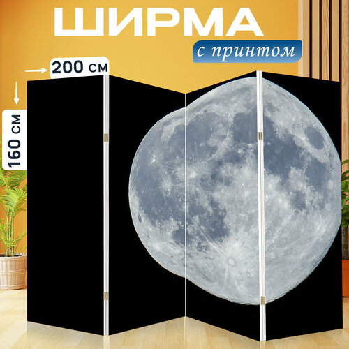 Ширма перегородка с принтом "Луна, канун, ночь" на холсте - 200x160 см. для зонирования, раскладная