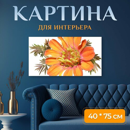 Картина на холсте "Цветок, апельсин, цинния" на подрамнике 75х40 см. для интерьера
