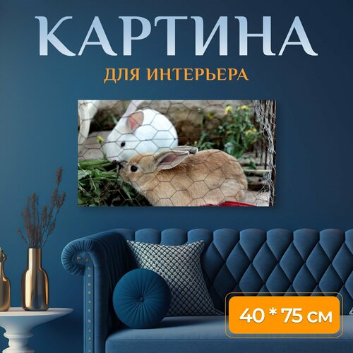 Картина на холсте "Кролик, кролики, пушистый" на подрамнике 75х40 см. для интерьера