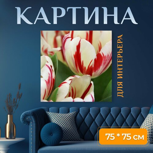 Картина на холсте "Тюльпаны, красный, весна" на подрамнике 75х75 см. для интерьера