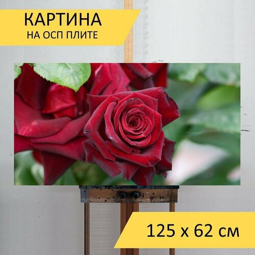 Картина на ОСП 125х62 см. "Роза, цветы, букет" горизонтальная, для интерьера, с креплениями