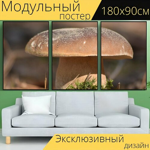 Модульный постер "Лес, подберезовик, гриб" 180 x 90 см. для интерьера