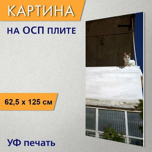 Вертикальная картина на ОСП "Кот, балкон, высота" 62x125 см. для интерьериа