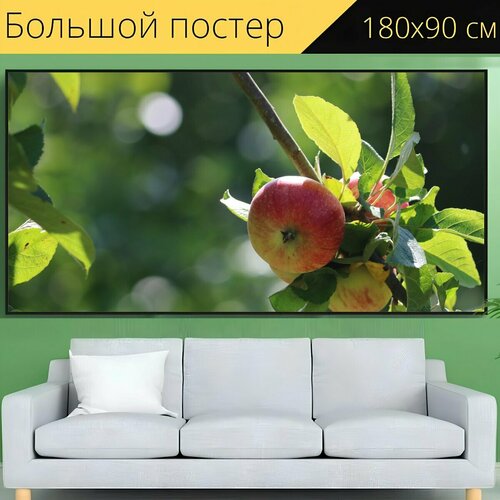 Большой постер "Яблоко, натуральная еда, фрукты" 180 x 90 см. для интерьера