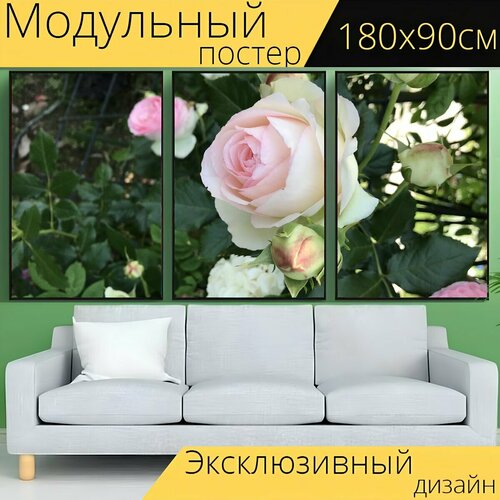 Модульный постер "Роуз, роза, розовый" 180 x 90 см. для интерьера