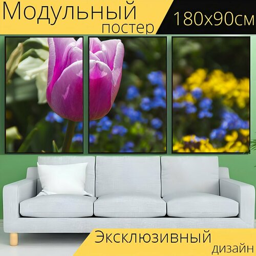 Модульный постер "Тюльпан, кумба, весна" 180 x 90 см. для интерьера