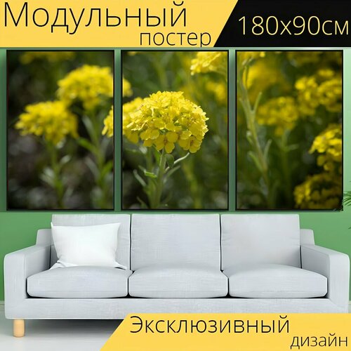 Модульный постер "Цветок, расцветает, желтый" 180 x 90 см. для интерьера