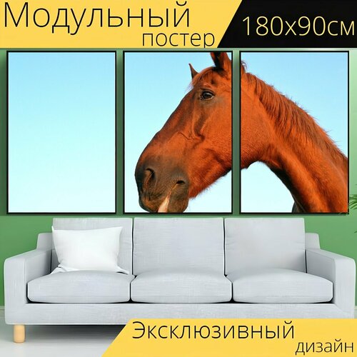Модульный постер "Конь, ранчо, ферма" 180 x 90 см. для интерьера