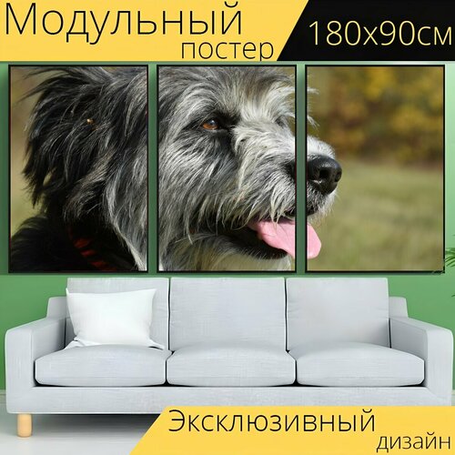 Модульный постер "Собака, профиль, портрет" 180 x 90 см. для интерьера