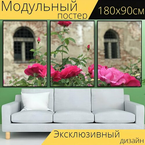 Модульный постер "Розы, сад, блум" 180 x 90 см. для интерьера
