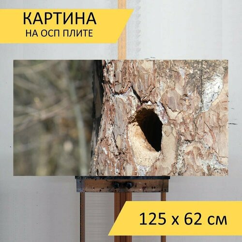 Картина на ОСП 125х62 см. "Пещера дятлов, отверстие, дерево" горизонтальная, для интерьера, с креплениями