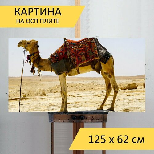 Картина на ОСП 125х62 см. "Верблюд, египет, каир" горизонтальная, для интерьера, с креплениями