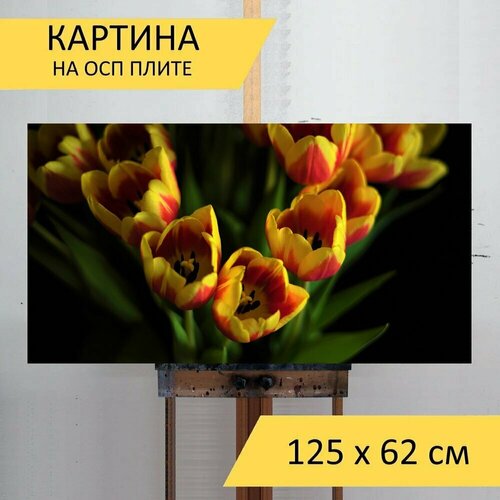 Картина на ОСП 125х62 см. "Тюльпаны, цветок, природа" горизонтальная, для интерьера, с креплениями
