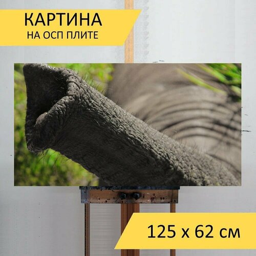 Картина на ОСП 125х62 см. "Хобот слона, слон, природа" горизонтальная, для интерьера, с креплениями
