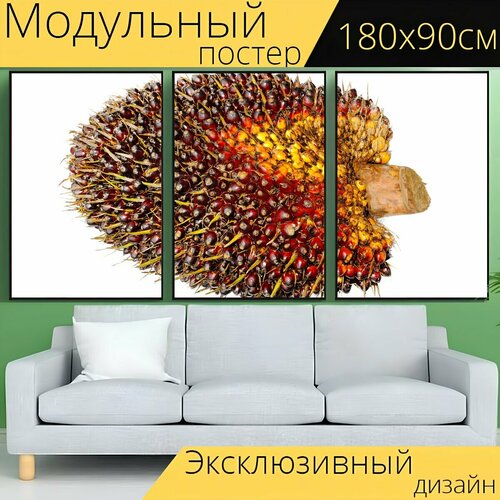 Модульный постер "Ладонь, масло, фрукты" 180 x 90 см. для интерьера