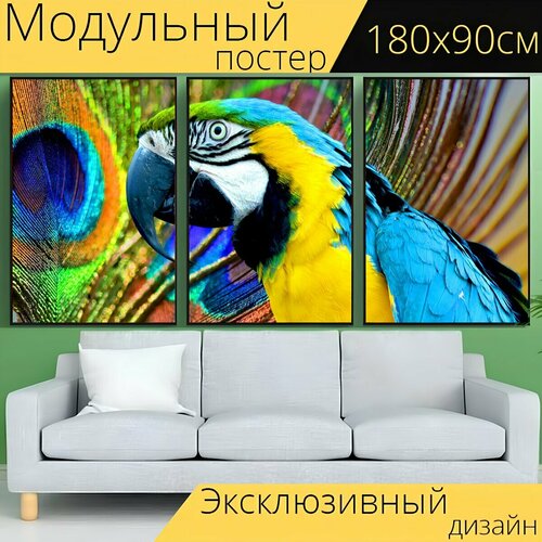 Модульный постер "Попугай, ара, павлин" 180 x 90 см. для интерьера