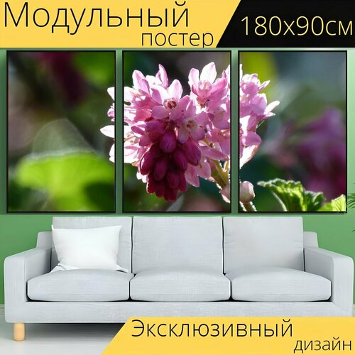 Модульный постер "Смородина, цветок, природа" 180 x 90 см. для интерьера