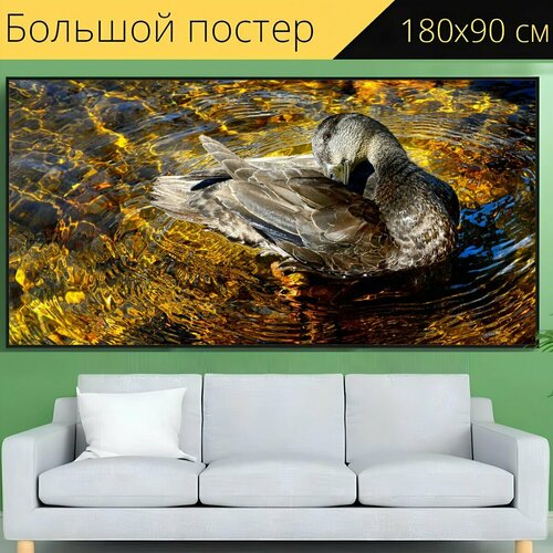Большой постер "Утка, озеро, водоплавающая птица" 180 x 90 см. для интерьера