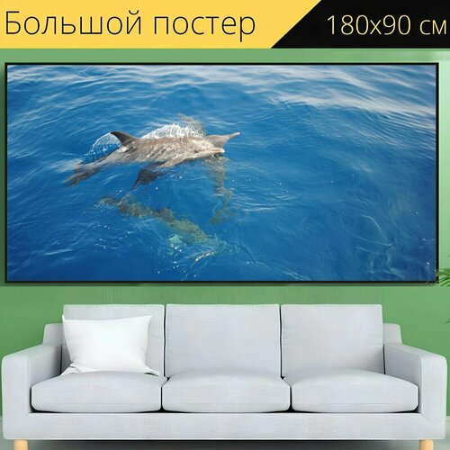 Большой постер "Дельфин, природа, океан" 180 x 90 см. для интерьера