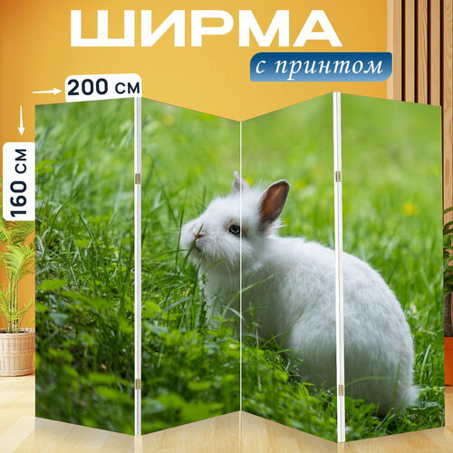 Ширма перегородка с принтом "Кролик, карликовый кролик, кролики" на холсте - 200x160 см. для зонирования, раскладная