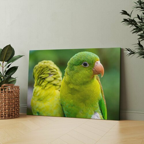 Картина на холсте (взрослый волнистый попугай зеленый ара) 20x30 см/для интерьера/в комнату/на стену/в подарок