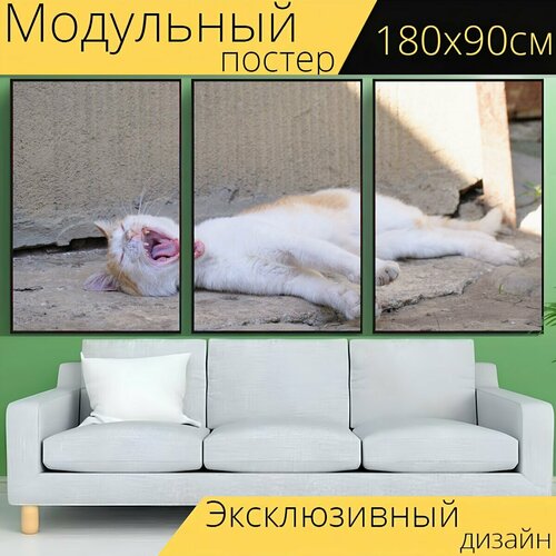 Модульный постер "Кошка, крик, домашний питомец" 180 x 90 см. для интерьера