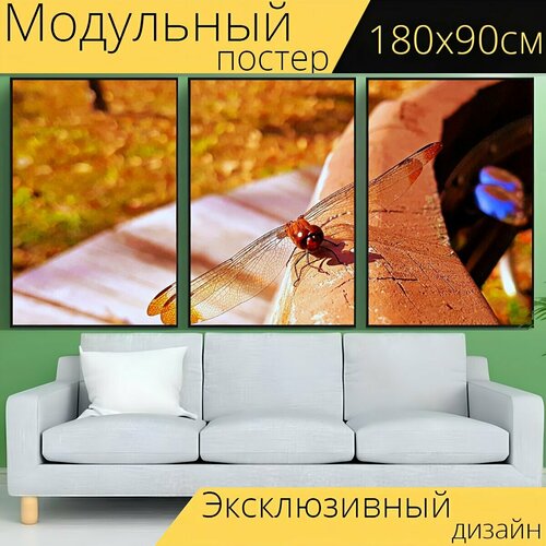 Модульный постер "Стрекоза, насекомые, крыло" 180 x 90 см. для интерьера