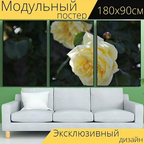 Модульный постер "Две желтые розы, завод, цветы" 180 x 90 см. для интерьера