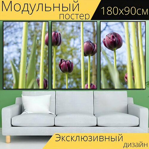 Модульный постер "Тюльпан, тюльпаны, весна" 180 x 90 см. для интерьера