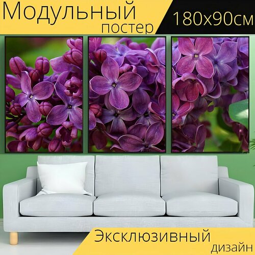 Модульный постер "Сиреневый цветок, без фиолетовый, сад" 180 x 90 см. для интерьера