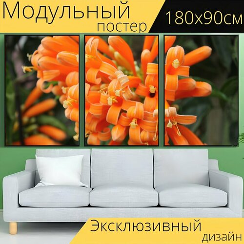Модульный постер "Цветы, апельсин, завод" 180 x 90 см. для интерьера