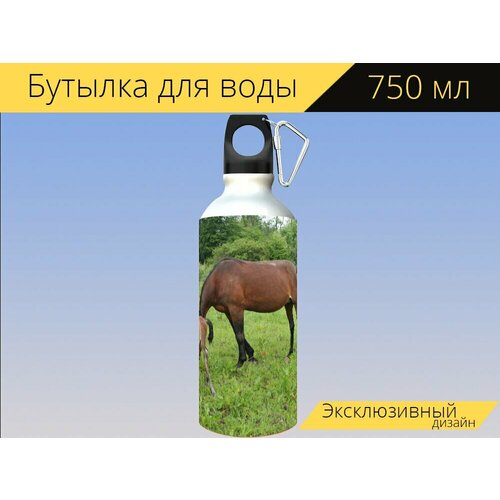 Бутылка фляга для воды "Жеребенок, лошадь, лошади" 750 мл. с карабином и принтом
