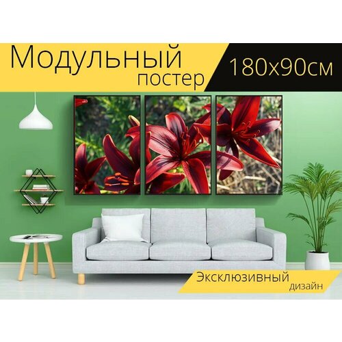 Модульный постер "Лили, бордо, цветок" 180 x 90 см. для интерьера