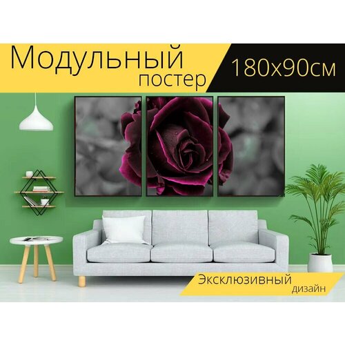 Модульный постер "Роуз, бархат, романтический" 180 x 90 см. для интерьера