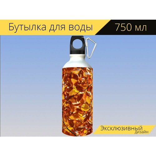 Бутылка фляга для воды "Листья, осенние листья, осенний цвет" 750 мл. с карабином и принтом