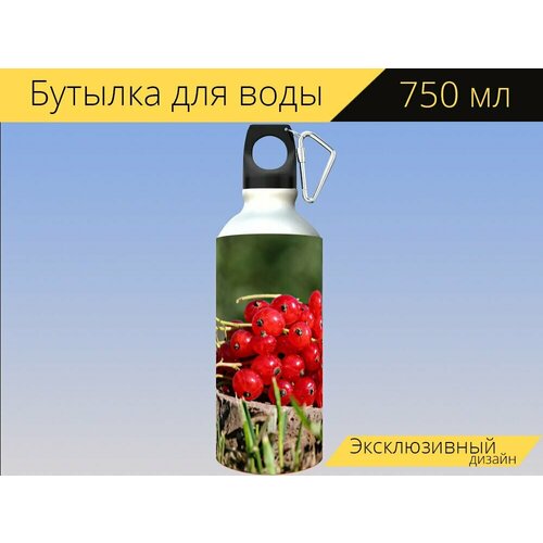 Бутылка фляга для воды "Смородина, красная, ягоды" 750 мл. с карабином и принтом