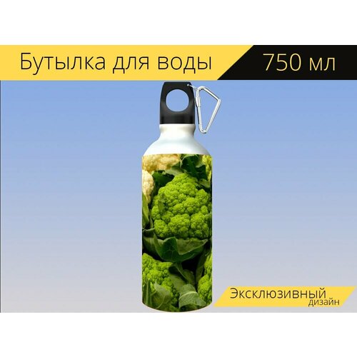 Бутылка фляга для воды "Капуста, овощи, sano" 750 мл. с карабином и принтом