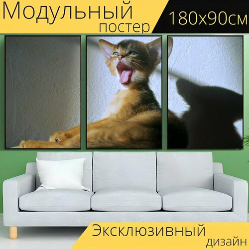 Модульный постер "Котята, абиссинцы кошки, кошки абиссинцы" 180 x 90 см. для интерьера