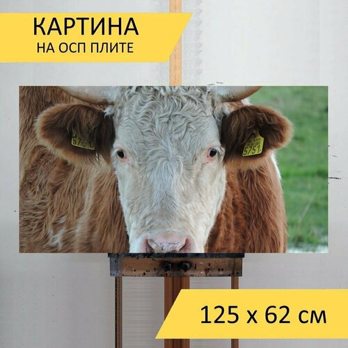 Картина на ОСП 125х62 см. "Бык, крупный рогатый скот, ферма" горизонтальная, для интерьера, с креплениями