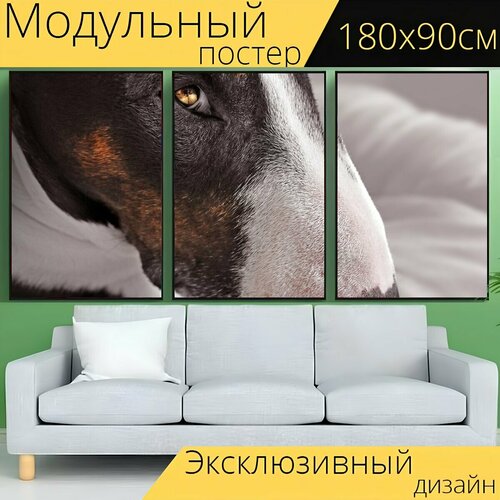Модульный постер "Собака, бультерьер, портрет" 180 x 90 см. для интерьера