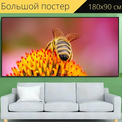 Большой постер "Эхина, пчела, головка болта" 180 x 90 см. для интерьера
