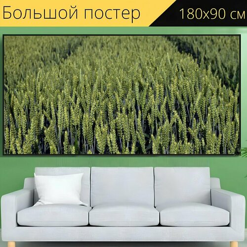 Большой постер "Пшеница, пшеничное поле, зерно" 180 x 90 см. для интерьера