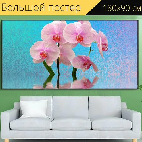 Большой постер "Орхидея, расцветает, розовый" 180 x 90 см. для интерьера