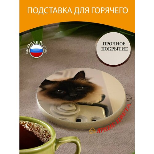 Подставка под горячее "Кошка, кошки, pet" 10 см. из блого мрамора