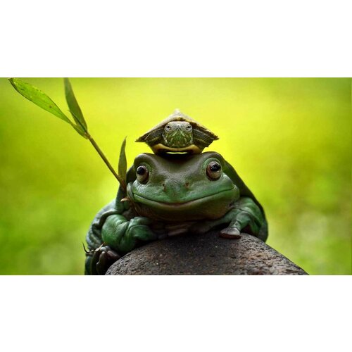 Картина на холсте 60x110 LinxOne "Макро черепаха жаба камень" интерьерная для дома / на стену / на кухню / с подрамником