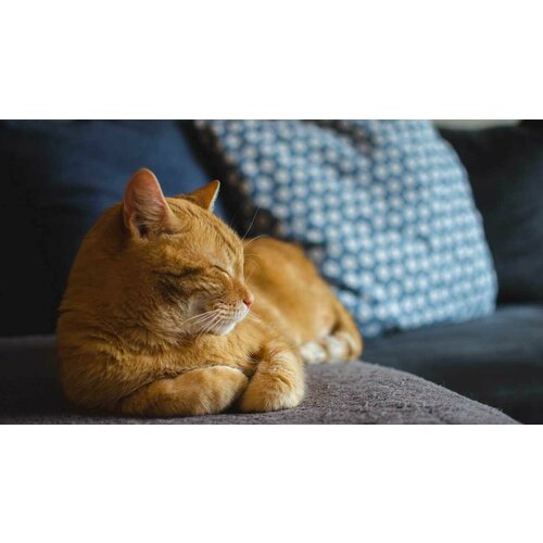 Картина на холсте 60x110 LinxOne "Большой рыжий кот спит на" интерьерная для дома / на стену / на кухню / с подрамником
