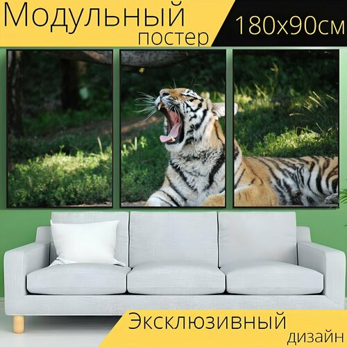 Модульный постер "Тигр, опасный, хищник" 180 x 90 см. для интерьера