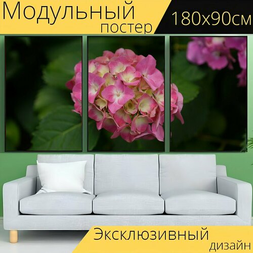 Модульный постер "Летом, цветы, розовый" 180 x 90 см. для интерьера