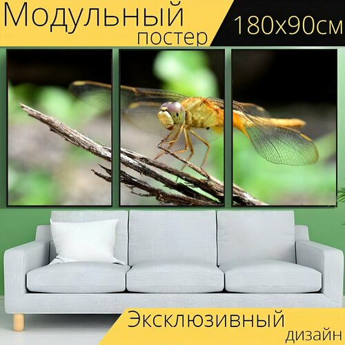 Модульный постер "Стрекоза, насекомое, древесина" 180 x 90 см. для интерьера